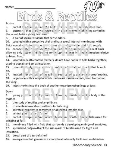 Birds and Reptiles Vocabulary Crossword Puzzle | Advanced Biology