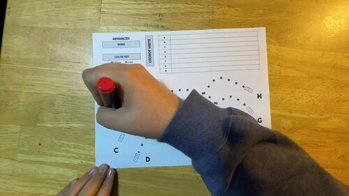 Ozobot™️ Coding - SPIDER Bar Graph Lesson by Jillian Poe | TPT