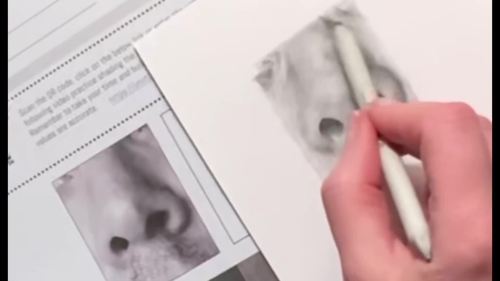 DRAWING AND SHADING THE NOSE - Middle School Art - High School Visual Art