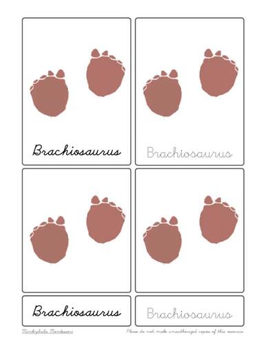 Dinosaurs and Footprints 3 Part Cards Montessori Classification ...