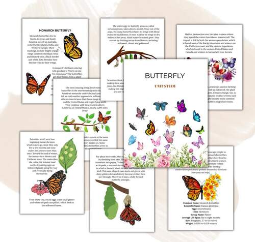 Butterflies Unit Study, Life Cycle, Anatomy, Nature Study, Science ...