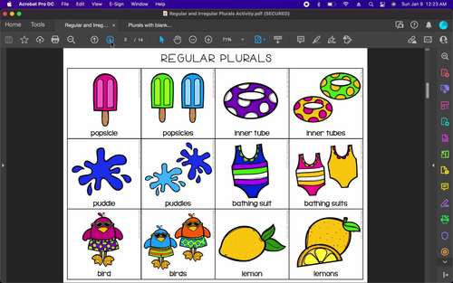 Regular and Irregular Plurals Activity by Breanna's Speech Shop | TPT