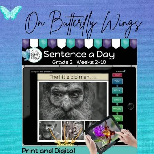 Sentence Writing Grade 2 Weeks 2 to 10 Term 1 by On Butterfly Wings