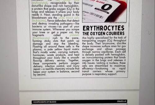 grade 6-8 life science, Biology, components of blood, heart, cells ...