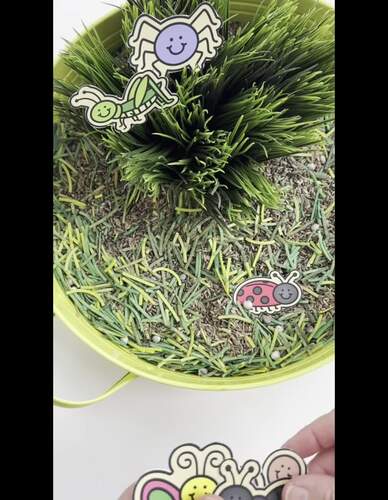 Insect Vocabulary Activities Speech Therapy Preschool by Candy Apple Speech