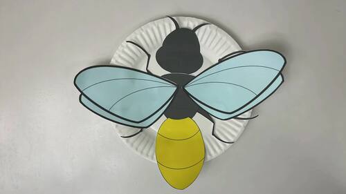 Firefly Paper Plate Craft and Speech Therapy Lesson Plans with Visual ...