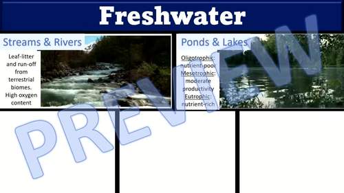 AP Environmental Science Aquatic Ecosystems & Human Impact PowerPoint