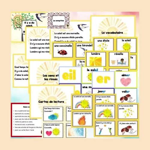 FRENCH literacy unit IL Y A DU SOLEIL lessons, booklets, reading, 10 ...