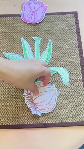 Spring Tulip Flower Craft & Writing: Life Cycle & Parts (3 Levels)