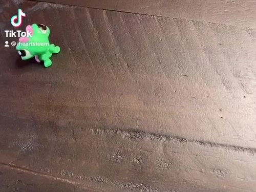 Desk Pet Lands and Story Creator - Camping and Amusement Park Rewards