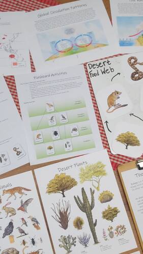 Desert Ecology Unit: desert formation, animal adaptations, food webs ...