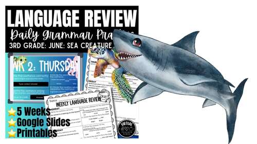 Ocean-Theme 3rd Grade Grammar Daily Language Review: Google Slides ...