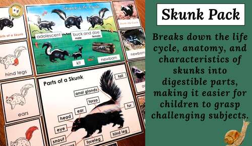 Parts of a Skunk Life Cycle Types: Montessori Nomenclature 3 Part Cards ...