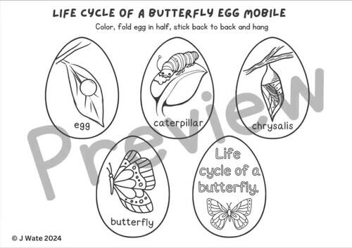 Butterfly Life Cycle Activity Pack & Interactive Spring Science Craftivity