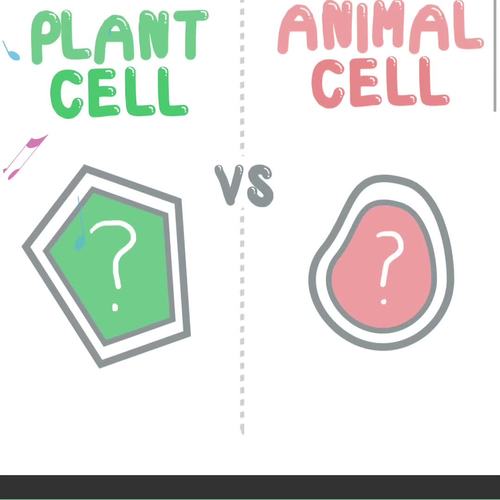 [V.3] Plant VS Animal cell structure - Fill in some missing letters ...