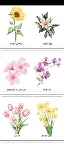 Flowers | Flashcards | Waldorf inspired by The Designer English Teacher