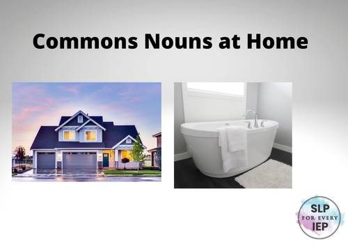 Mega Receptive Identification Packet Using Real Pictures for Students-PDF