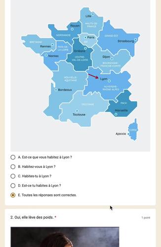 French Question Words and Yes No Questions Google Forms and Printable Tests