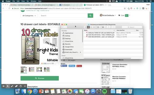 10 drawer cart labels- EDITABLE - Bright Kids by Kristi DeRoche | TPT