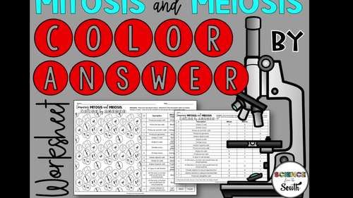 Mitosis and Meiosis Color by Number Assessment Activity Print and Digital