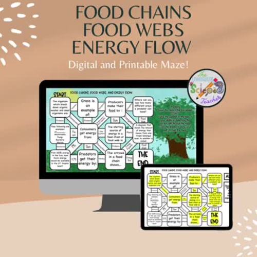 Food Chains, Food Webs, and Energy Flow Maze (Printable and Digital)