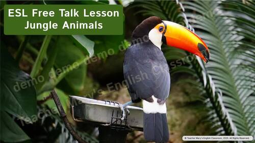 Ready-to-Use Kids' ESL / English Speaking Activity - Amazing Jungle Animals
