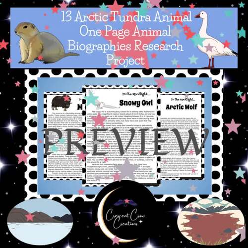 13 Arctic Tundra Animal One Page Animal Biographies Research Project