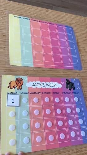 Editable Weekly Calendar for Kids | Daily & Weekly Routine Visual Planner