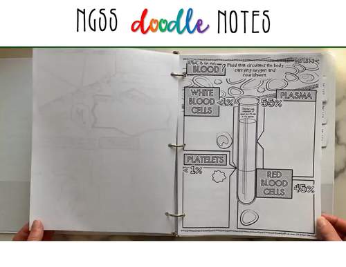 Life Science NGSS Vocabulary Doodle Notes by Captivate Science | TPT