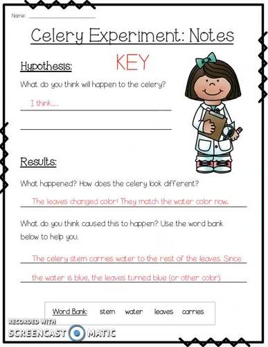 Celery Plant Experiment (Procedure, Notes & Reflection) by VA SOL ...