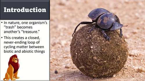 AP Environmental Science Solid Waste & Its Disposal Complete 2-Day ...