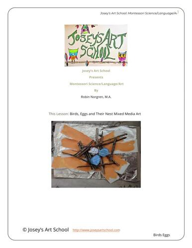 Birds Nest Art Lesson Eggs 3 Part Cards Montessori Language Reggio