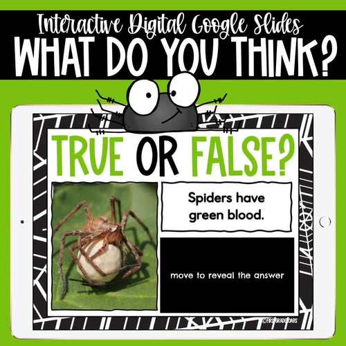 Spider Activity True or False Nonfiction Interactive Google Slides