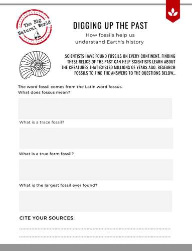 Earth Science Internet Research Worksheets for Middle and High School