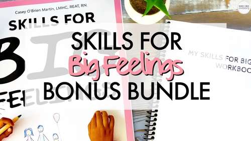 Skills for Big Feelings Bonus Bundle Emotional Regulation Counseling ...