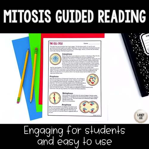 Cell Cycle & Mitosis - Reading Comprehension Worksheets by Laney Lee