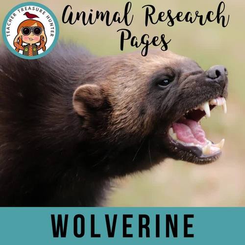 Wolverine Animal Research Page Arctic Animal Reports in early elementary