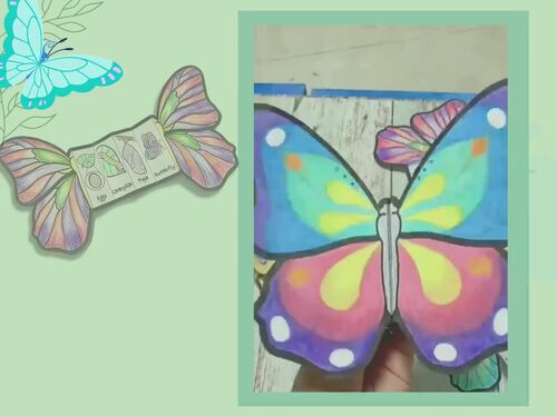 Butterfly Life Cycle Science Craft Worksheets by Life Blueprints
