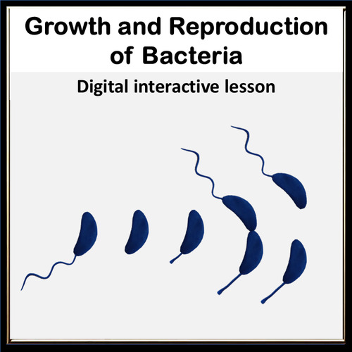Bacterial Growth & Reproduction | AP Biology Interactive Microbiology ...