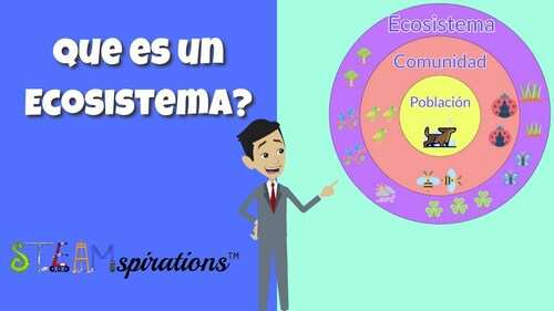 Que es un Ecosistema? | Población y Comunidad by STEAMspirations