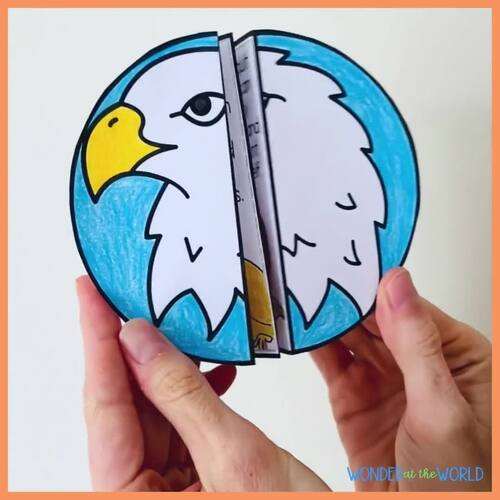 Life cycle of a bald eagle bird sequencing craft activity & body parts ...