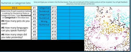 Numerical or Categorical Data 6th Grade Math Pixel Art Activity | TPT