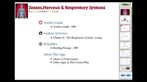 The Respiratory System - Lungs - MAC Gr. 3-8 by CCP Interactive | TPT