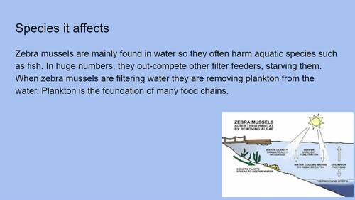 Invasive Species Research Project | Google Slides Research Project