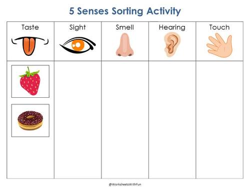 5 Senses Worksheet, Five Senses Sorting Mat, Kindergarten Morning Work ...