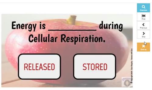 Cell Respiration Boom Cards by Science with Cara | TPT