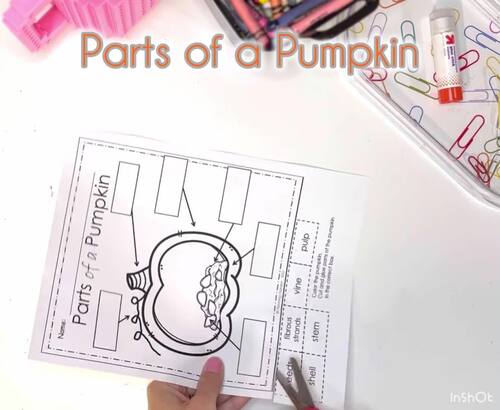 Pumpkin Life Cycle | Parts of a Pumpkin {fall, pumpkins} by Planning Garden