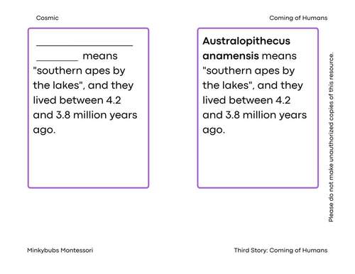 Montessori Coming of Humans Third Great Lesson Set of 18 3 4 and 5 Part ...