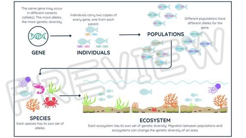 AP Environmental Science Unit 2: The Living World - Biodiversity ...