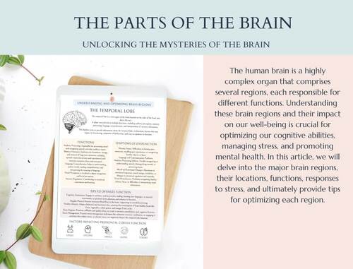 The Brain Parts Infographic handout. Clinicians, Brain regions ...